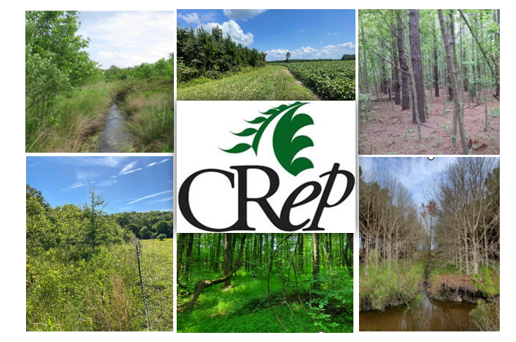 Soil & Water - Conservation Reserve Enhancement Program (CREP) | NC Agriculture